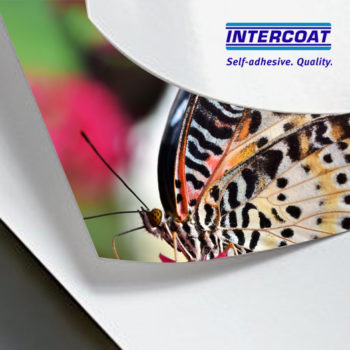 Vinilo Intercoat PVC especial media duración 4 años B1 - VZZ ...